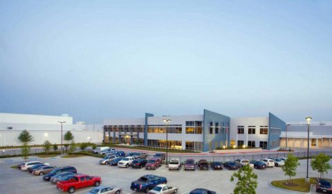 Our Projects: Showcasing Excellence | Native Services